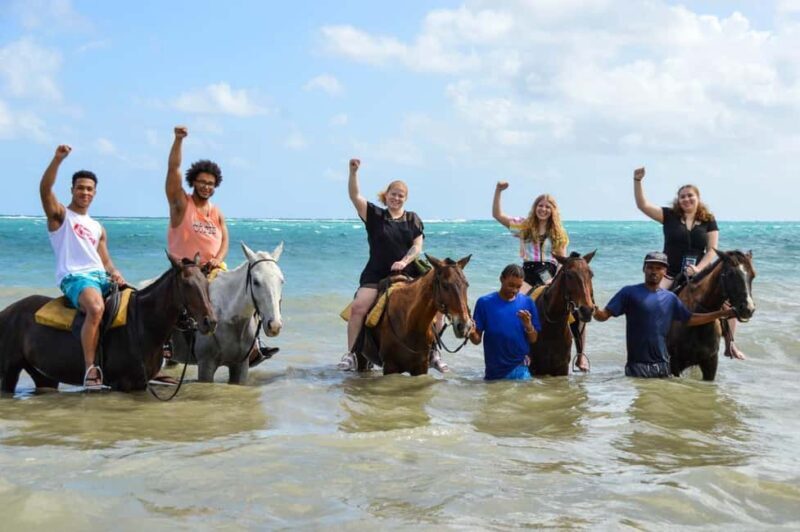 Ocho Rios: Horseback Ride and Swim Adventure - An In-Depth Look at the Horseback Ride and Swim Tour