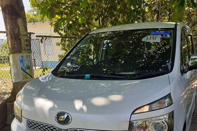 Ocho Rios Hotels Private Airport Transfer - Who Is This Best For?