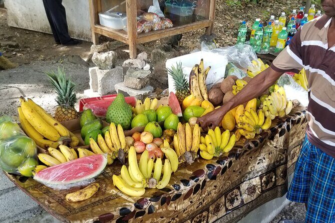 Ocho Rios Private Airport Transfer (MBJ Airport ) - The Breakdown: What You Can Expect