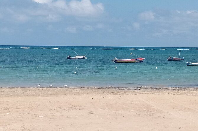 Ocho Rios Scenic Views, Culture and Adventure - The Sum Up: Is this tour right for you?