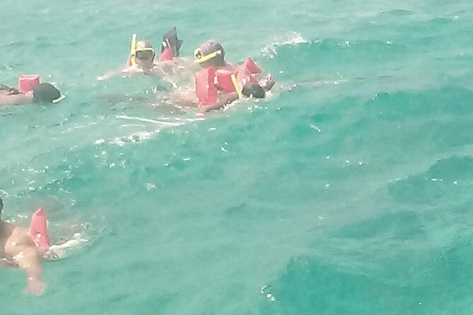 Ocho Rios Shore Excursion: Private Snorkel Tour - The Value of This Experience