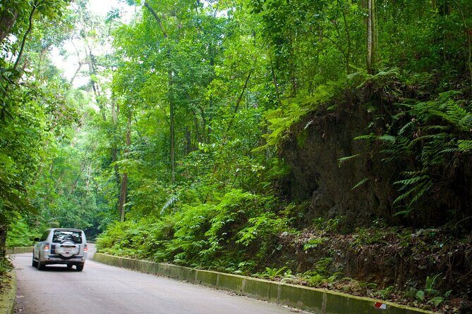 Ocho Rios Sightseeing, Beach Half-Day Tour (Admission include) - Key Points