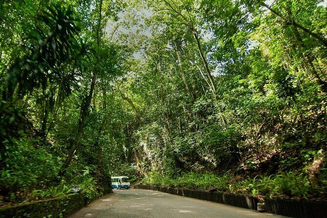 Ocho Rios Sightseeing, Beach Half-Day Tour (Admission include) - What to Expect on This Ocho Rios Tour