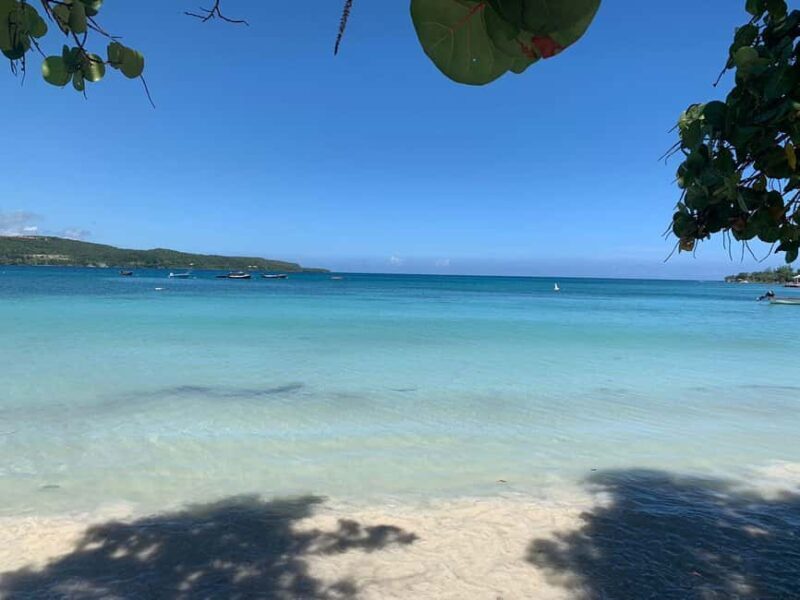 Ocho Rios: Sightseeing& Beach With stops for Lunch& Shopping - Who Should Consider This Tour?