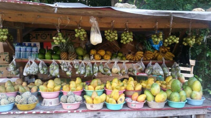 Ocho Rios Street Eats - A Closer Look at the Ocho Rios Street Eats Experience