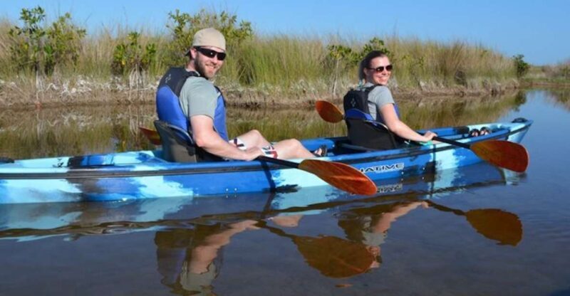 Ochopee: Half-Day Mangrove Tunnel Kayak Tour - Exploring the Everglades by Kayak: What to Expect