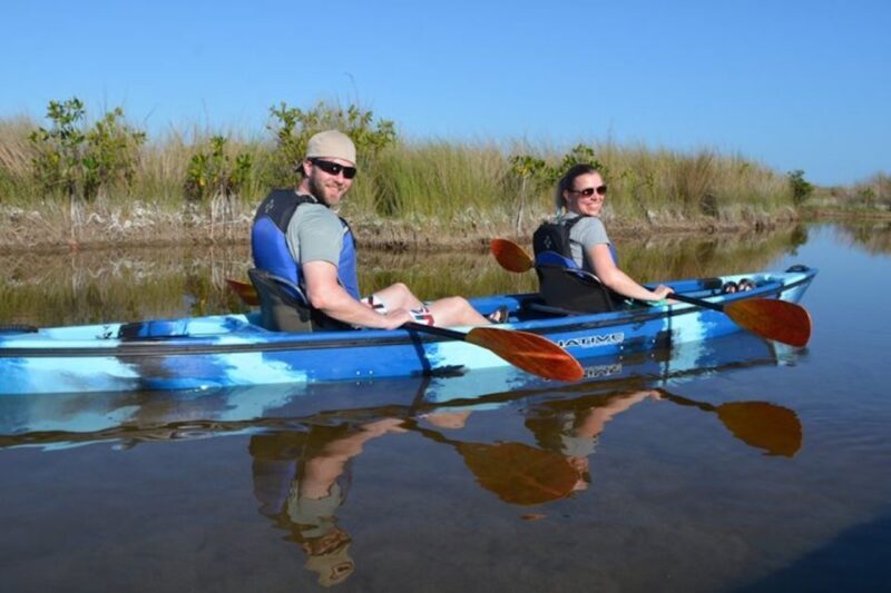 Ochopee: Half-Day Mangrove Tunnel Kayak Tour - The Itinerary in Detail