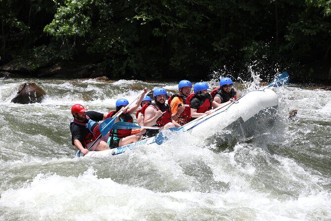 Ocoee River Middle Whitewater Rafting Trip (Most Popular Tour) - Who Should Consider This Tour?