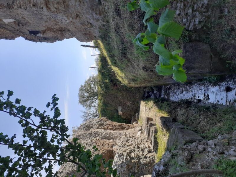 Ocriculum: entrance to the Umbrian archaeological park - The Guided Experience