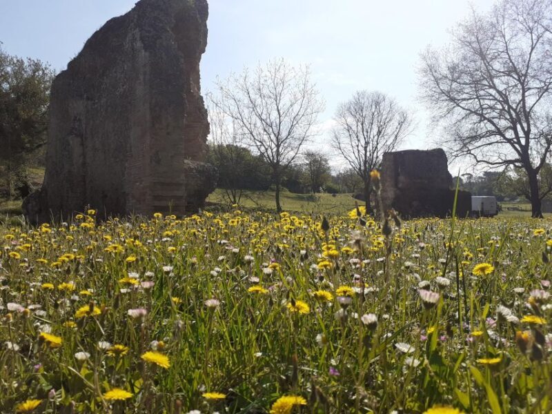 Ocriculum: entrance to the Umbrian archaeological park - Practical Tips for Visitors