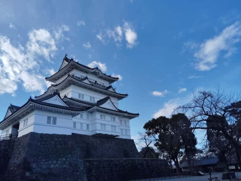 Odawara: Castle Guided Tour with Panoramic Views - An In-Depth Look at Odawara Castle Guided Tour