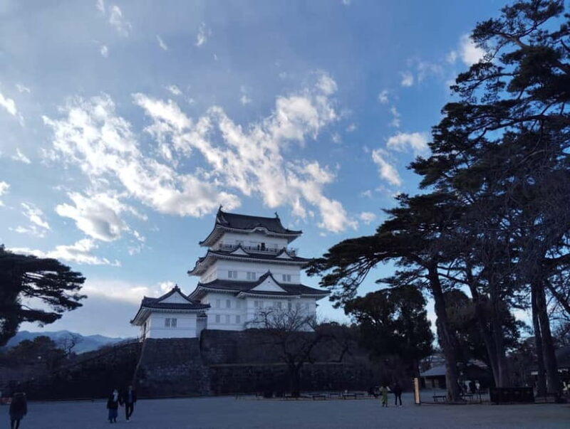 Odawara: Castle Guided Tour with Panoramic Views - The Experience Based on Past Reviews
