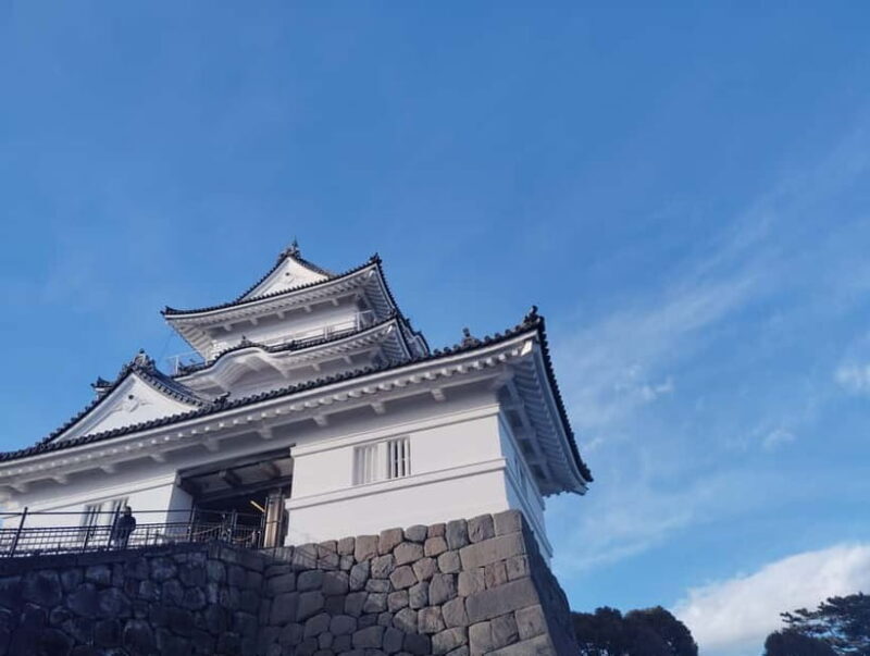 Odawara: Castle Guided Tour with Panoramic Views - Who Will Love This Tour?