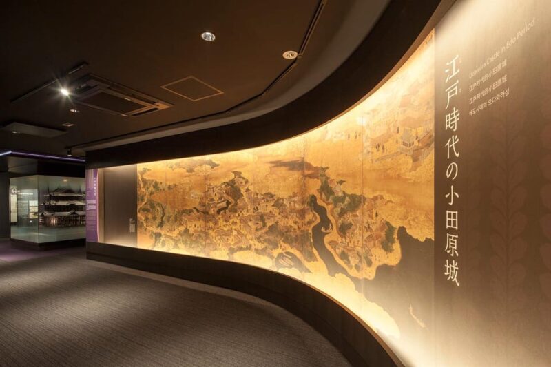 Odawara: Odawara Castle and Town Guided Discovery Tour - Who Will Love This Tour?