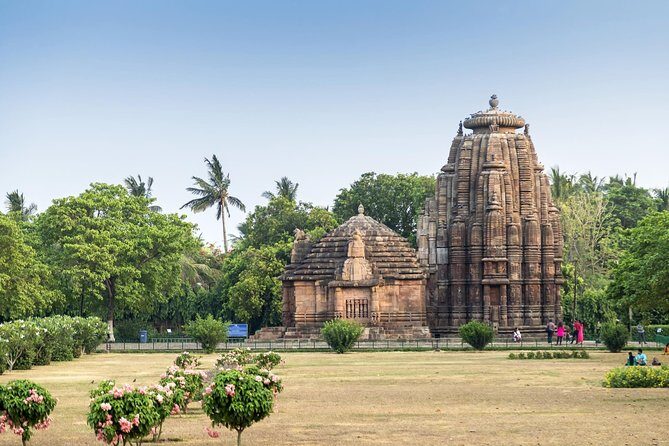 Odisha Tribal Tour - Explore Weekly Tribal Marketplaces & Temples - Transportation, Duration, and Value
