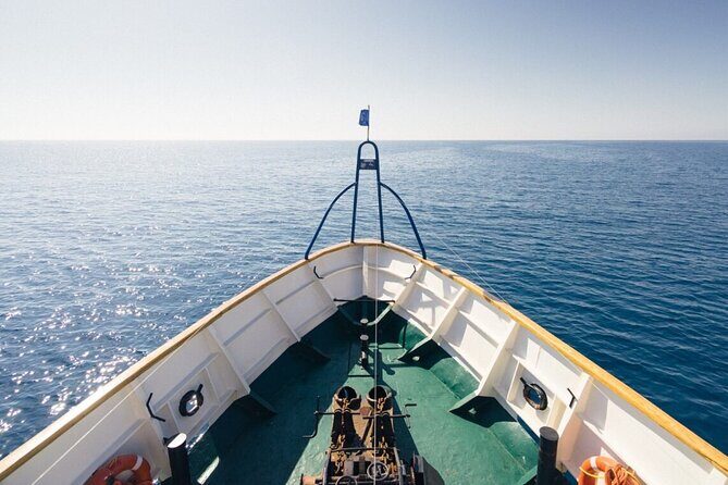 Odyssey Boat Safari from Larnaca - Practical Tips for Participants
