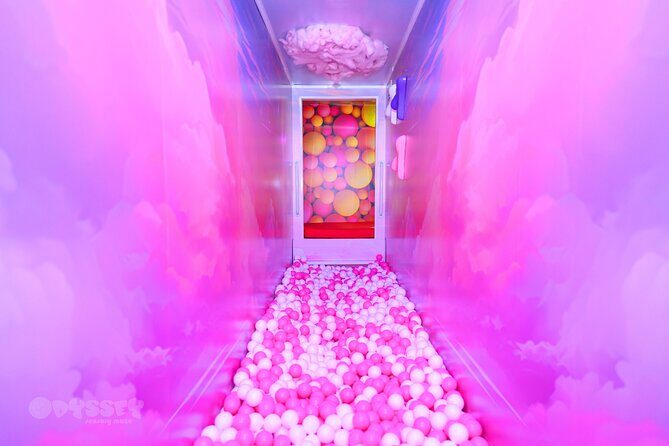 Odyssey Sensory Maze Entry Auckland Ticket - Real Visitor Feedback: The Pros and Cons