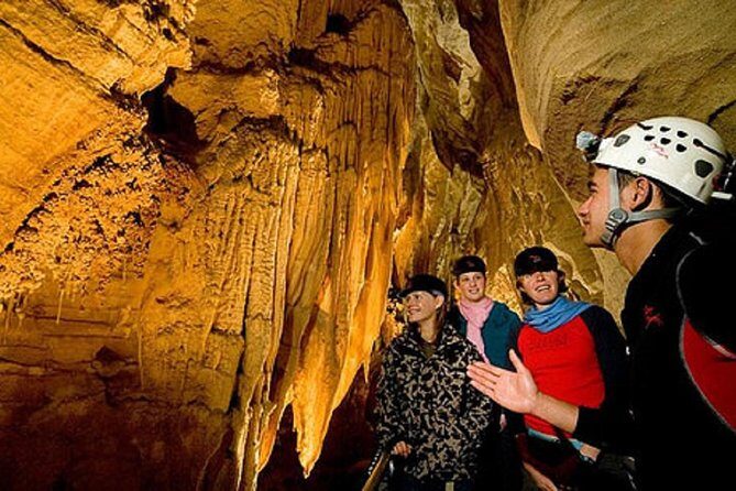 Odyssey Sensory Maze Entry Auckland Ticket - Practical Tips for Your Visit