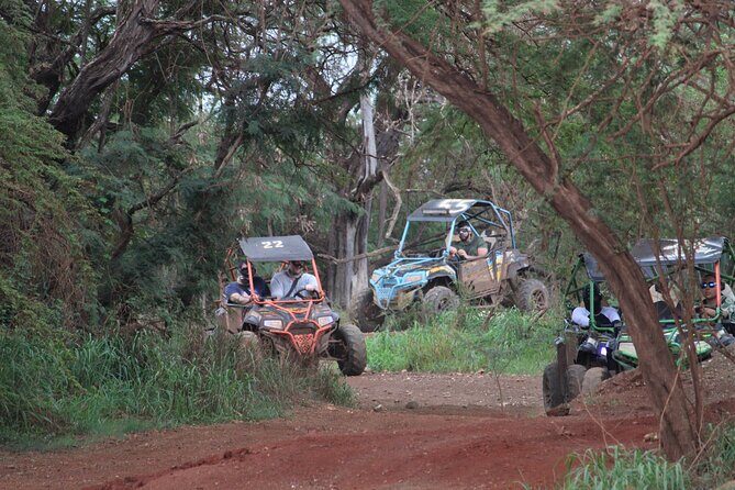 Off-Road ATV & 3 Zipline Tour (Optional Waikiki Transportation) - Who This Tour Is Best For