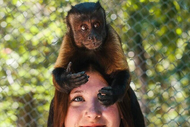 Off Road ATV Cenote Monkeys and Snorkel with Sea Turtles - Authentic Experiences and What Sets This Tour Apart
