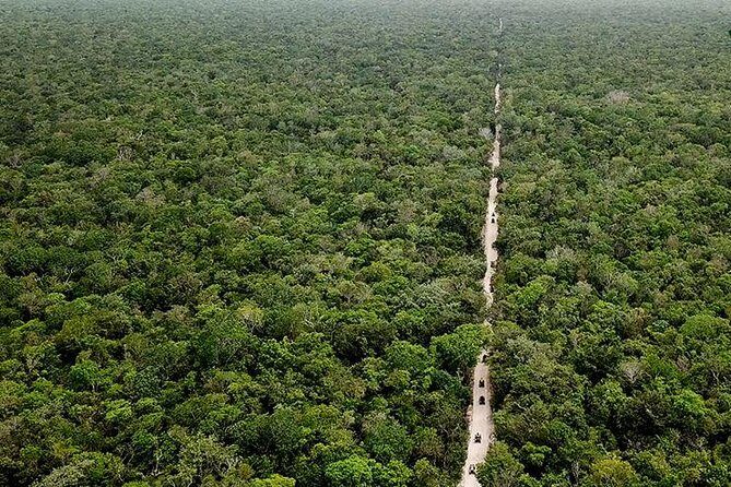 Off Road ATV Tour at the Akumal Monkey Rescued Animals Sanctuary - Who Would Love This Tour?