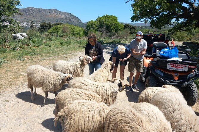 Off-road Buggy Safari in Crete with a Guide - Key Points