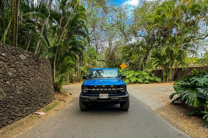 Off Road Coastal Tour 4x4 Vehicle With Snorkel, Photo and Video - Why Choose This Tour?