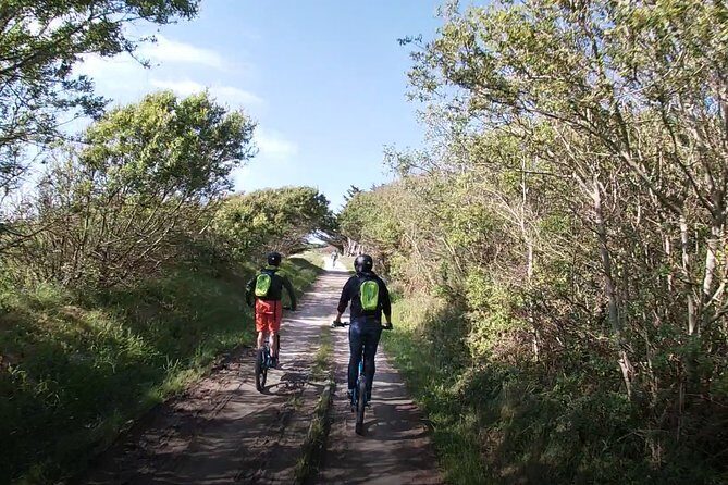 Off-road electric scooter-2h30 guided by GPS- "Carnac" - Who Will Love This Tour?