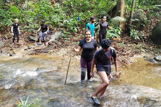 Off-road, Exploration through rainforest Day Tour by 4X4 - The Itinerary in Detail: What to Expect