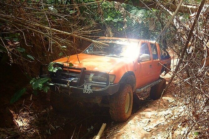 Off-road, Exploration through rainforest Day Tour by 4X4 - Final Thoughts: Is This Tour Right for You?