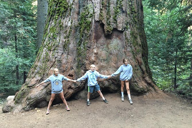 Off-Road Giant Sequoia 4x4 Tour - What You Can Expect from the Tour