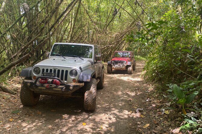 Off-Road Jeep Adventure from Carolina - Key Points