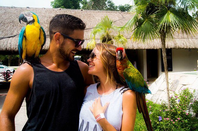 Off-Road Mayan Adventure in Cozumel with Snorkeling and Lunch - What to Expect from the Itinerary
