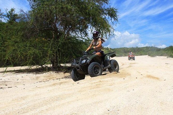 Off Road Runners - Double Rider - Who Might Want to Consider Alternatives?