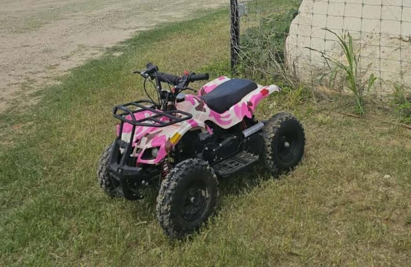 Off-Road Small & Medium ATV Rental at 281cc Park - Key Points