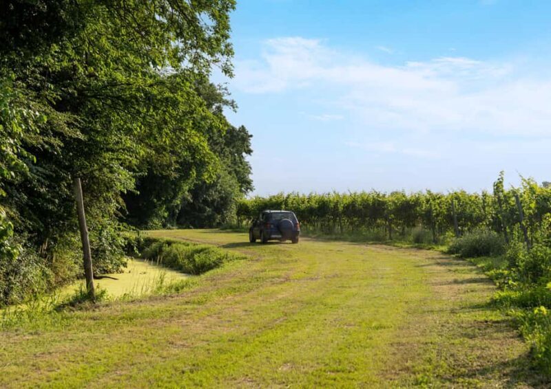 Off-road tour through vineyards and organic wine tasting Villa Bogdano 1880 - Key Points