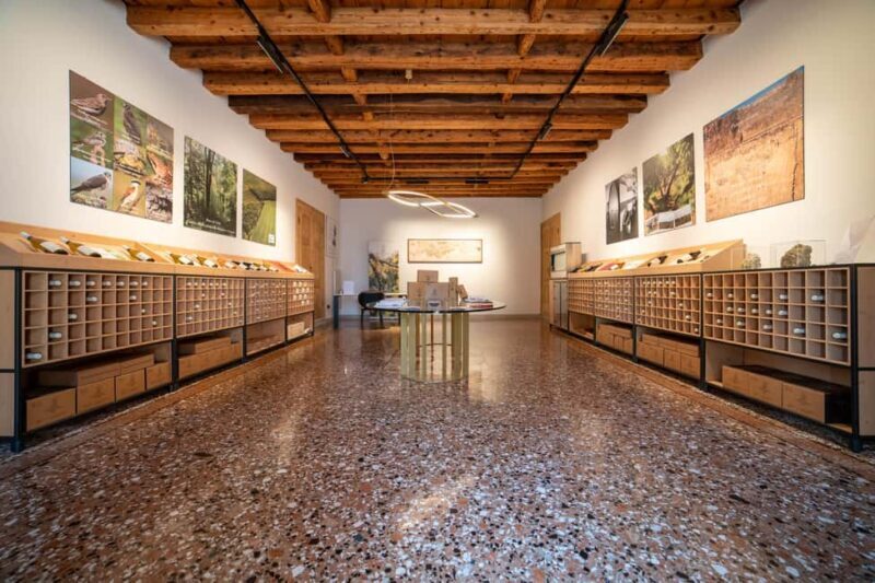 Off-road tour through vineyards and organic wine tasting Villa Bogdano 1880 - FAQ