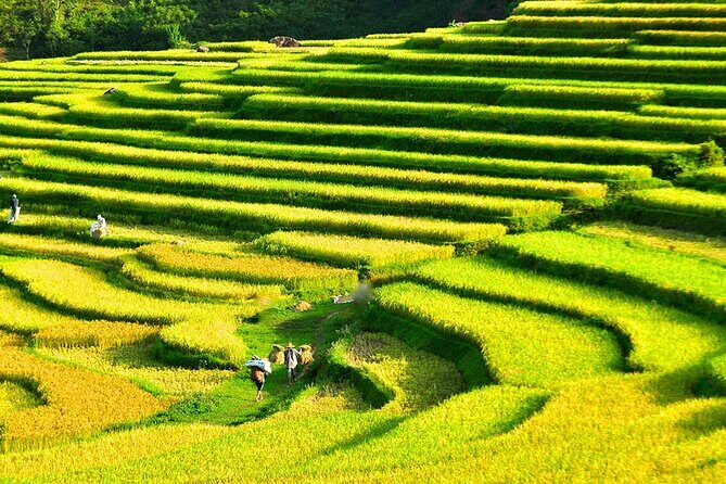 Off Road Trekking Pu Luong Nature Reserve 3 Day Tour From Hanoi - FAQ