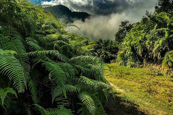 Off The Beaten Path - Key Points