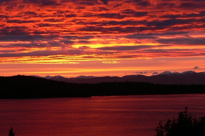 Off the Beaten Path Ketchikan Photo Safari - 3 hr. - FAQ