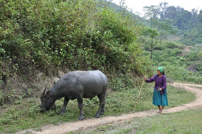 Off the Beaten Path Motorbike Tour 5 days 4 nights - Final Thoughts: Who Should Consider This Tour?