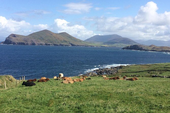 Off the beaten Path Private Tour of Ring of Kerry - Who Will Love This Tour?