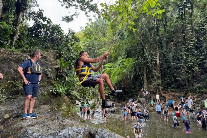 "Off the beaten path" Rain Forest Guided hike with Transportation - Key Points