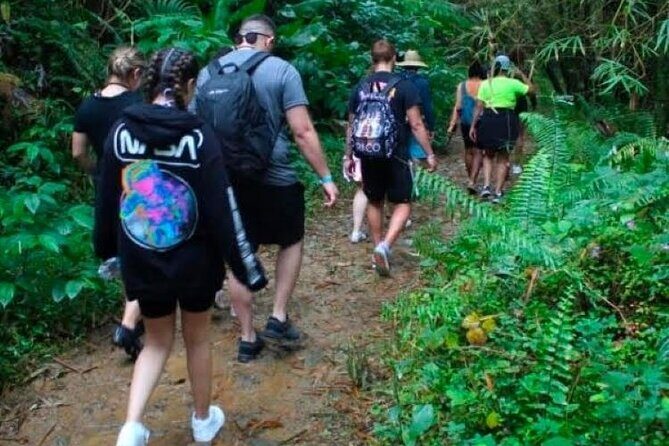 "Off the beaten path" Rain Forest Guided hike with Transportation - Who Will Love This Tour?