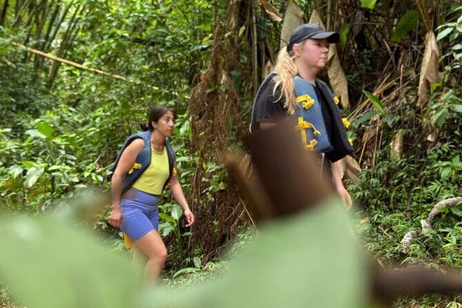 "Off the beaten path" Rain Forest Guided hike with Transportation - Final Thoughts