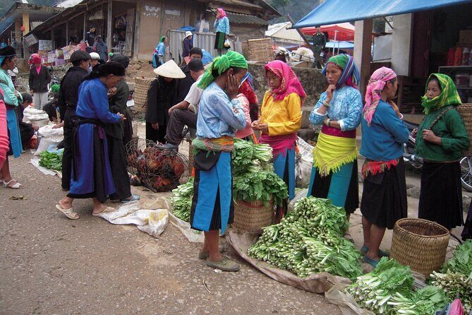 Off The Beaten Track Northeast Vietnam 7 days - Private Tour - An Honest Look at the 7-Day Northeast Vietnam Private Tour