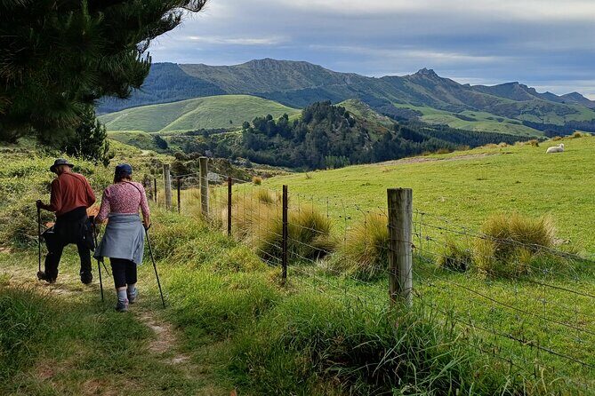 Off The Beaten Track- Packhorse Hut Guided Walk(Small Group Tour) - The Itinerary in Detail: What You Can Expect