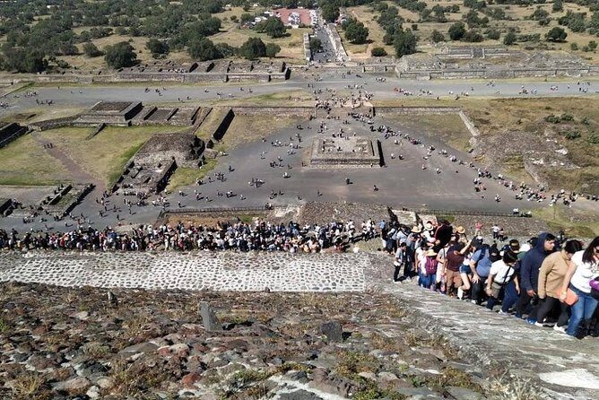 OFFER / Private COMBO 2 days Frida Kahlo Museum / Xochimilco -Teotihuacan / Basilica. - Who Will Love This Tour?