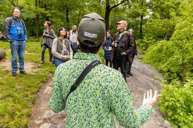 Official Central Park Walking Tour - Insights from Reviews