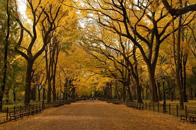 Official Central Park Walking Tour - The Bottom Line